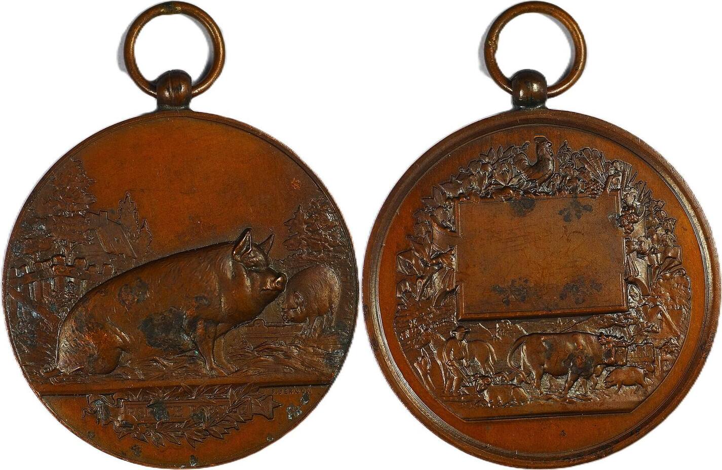 Belgium Historical medal N.D gricultural Award Medal – Pig Breeding / F ...