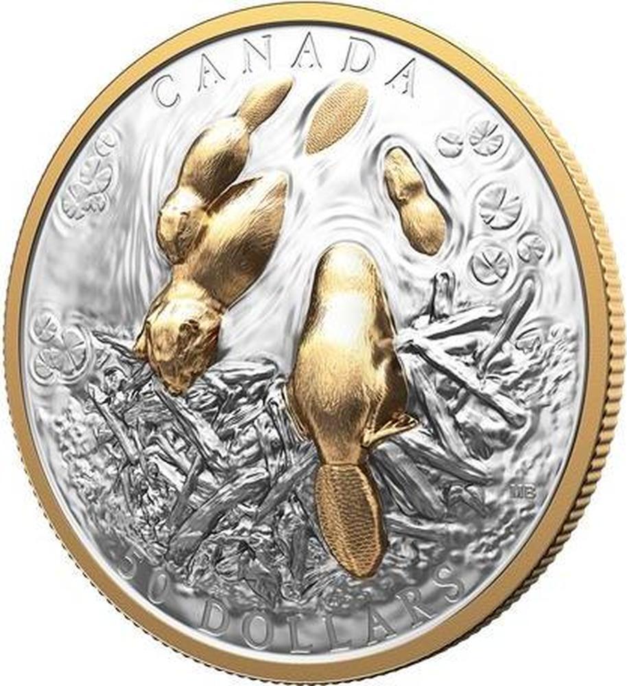 50 Dollars BEAVER Canadian Symbol Silver Coin 50$ Canada 2025 Proof ...